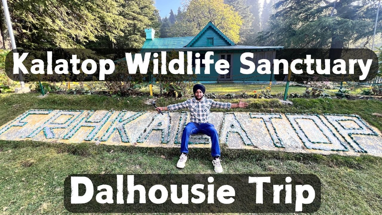 kalatop dalhousie | Kalatop Wildlife Sanctuary | Dalhousie Trip 2024 | Places to Visit in ...