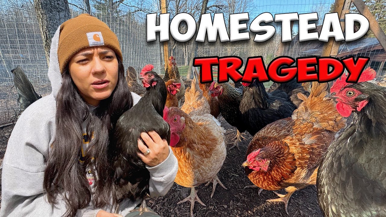 Homestead TRAGEDY | Time OFF WORK | CLOSE CALLS on this Homestead ...
