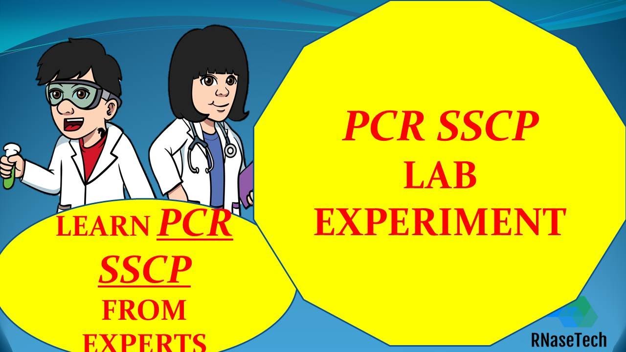 What is PCR SSCP? Polymerase chain reaction single-strand conformation ...