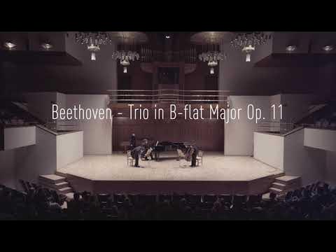 Trio "Gassenhauer" en sib mayor op.11 Beethoven. - YouTube