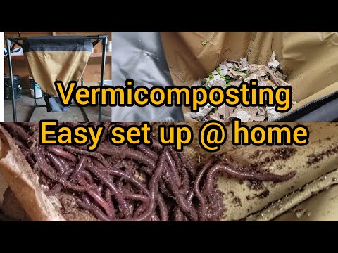DIY Vermicomposting| Easy Set up| Everyone is welcome to try at home ...