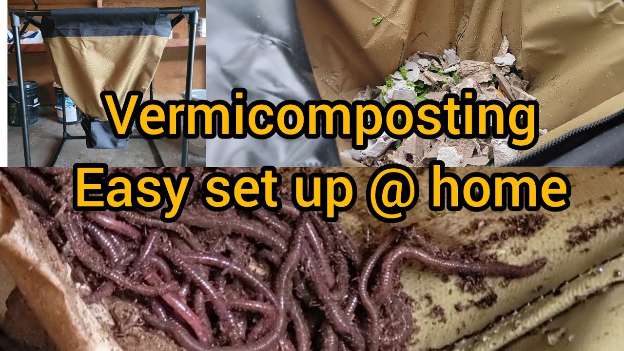 DIY Vermicomposting| Easy Set up| Everyone is welcome to try at home ...