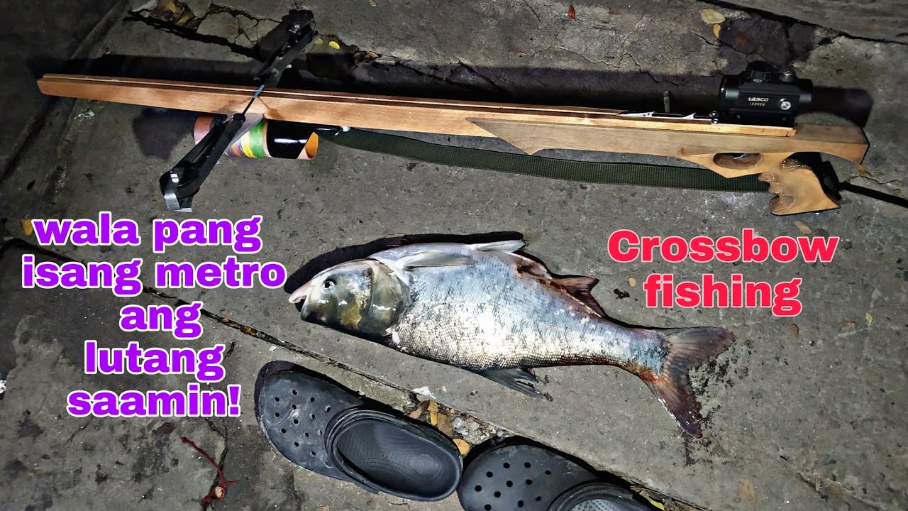 crossbow fishing , catching bighead carp - YouTube