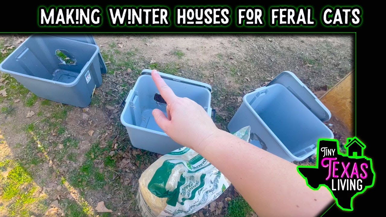 Making Winter Houses For Feral Cats At My Tiny Home | Preparing For ...