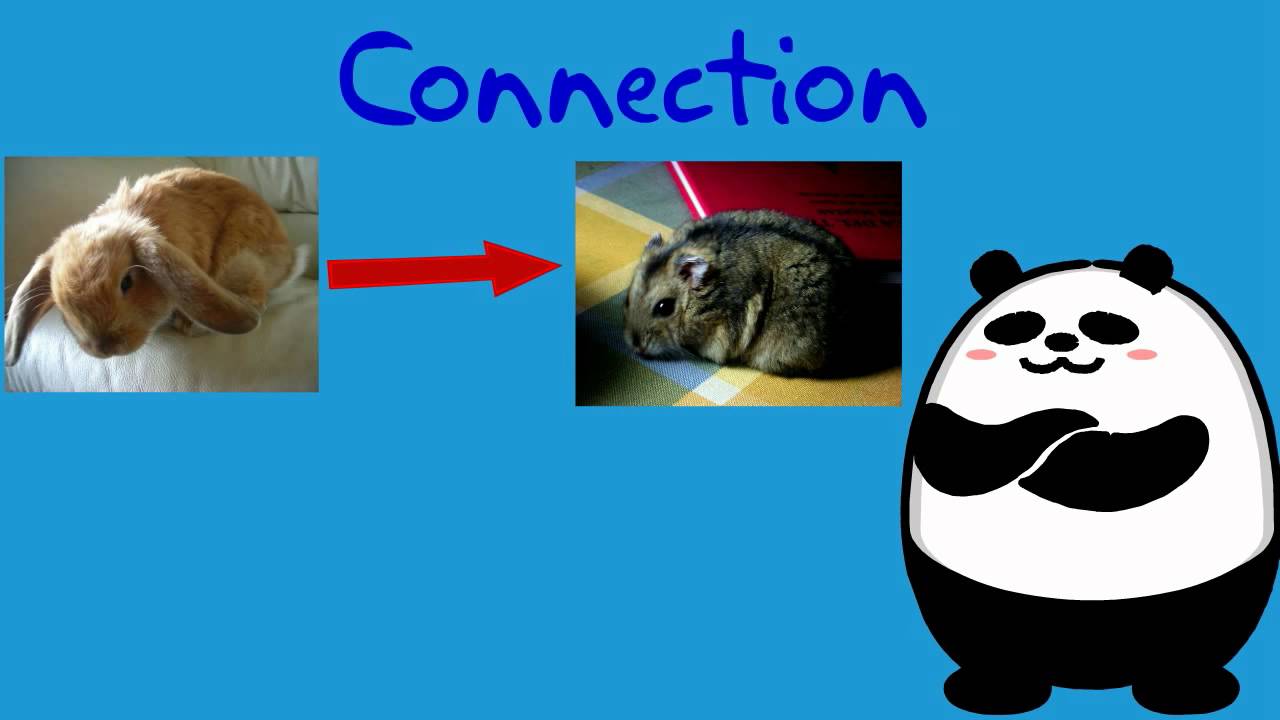 Connecting Two Pieces of Information in a Text (Part 1) | 1st Grade ...