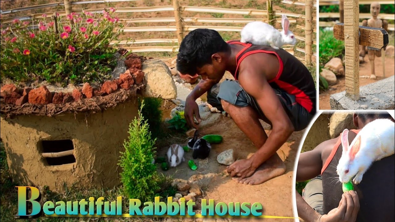 Rabbit House Making ||Rabbit Building House ||how to make rabbit house ...