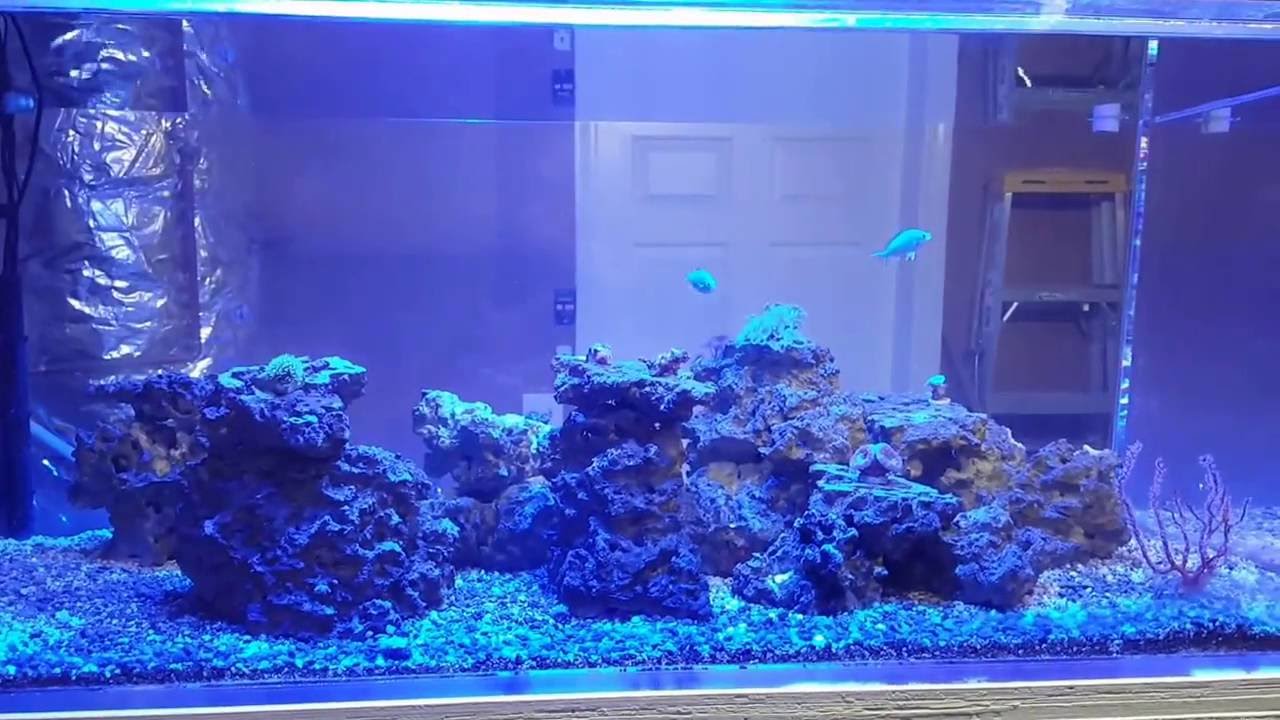 herbie overflow and plumbing for beginners - YouTube