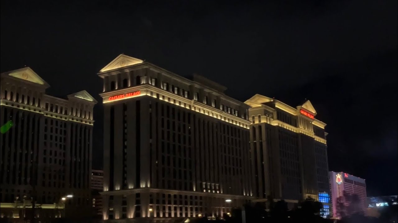 The Duck Plays Video Blackjack at Caesars Palace - YouTube