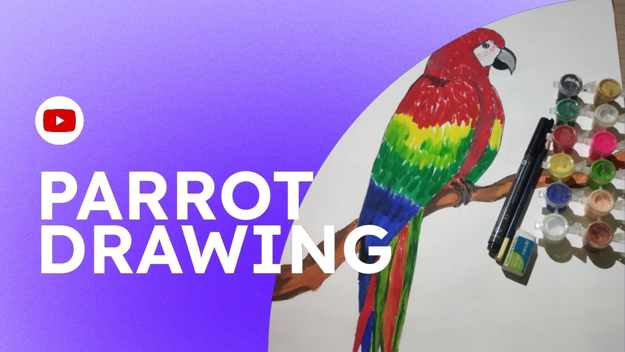 parrot drawing|| how to draw parrot step by step|| easy parrot drawing ...