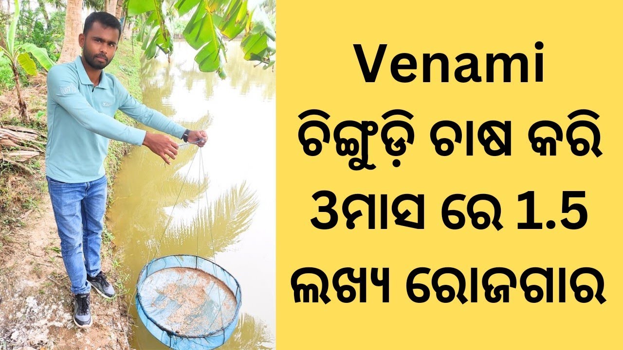Venami Shrimp farming in Odisha details video by Organic Oodisha ...