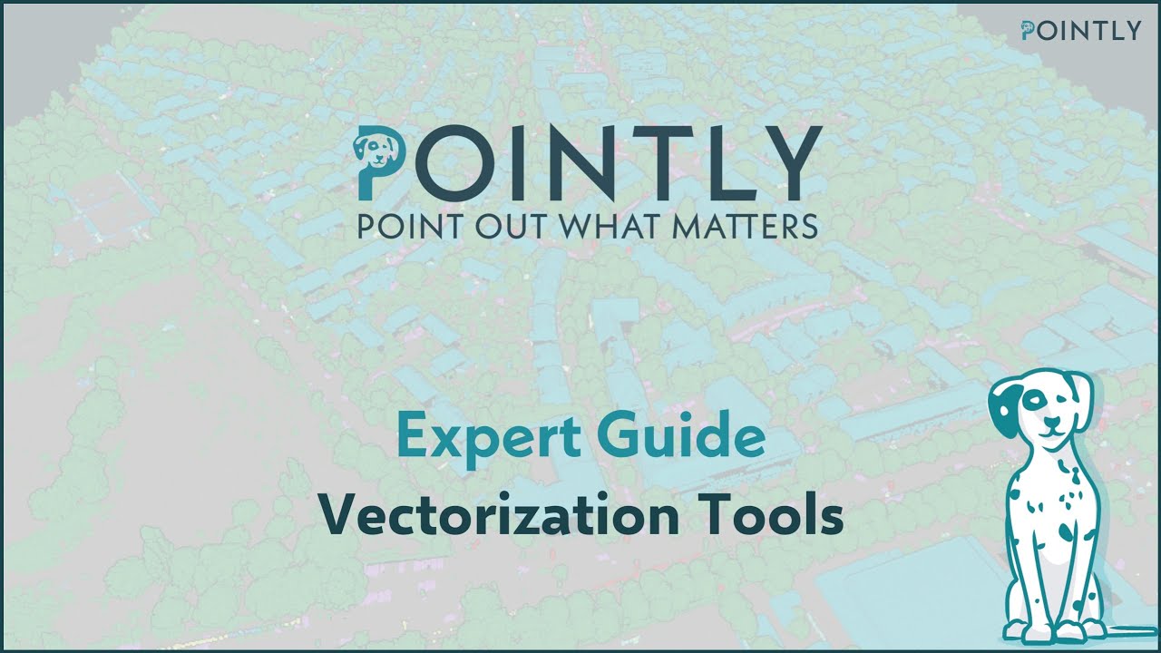 Pointly Expert Guide - Vectorization Tools - YouTube
