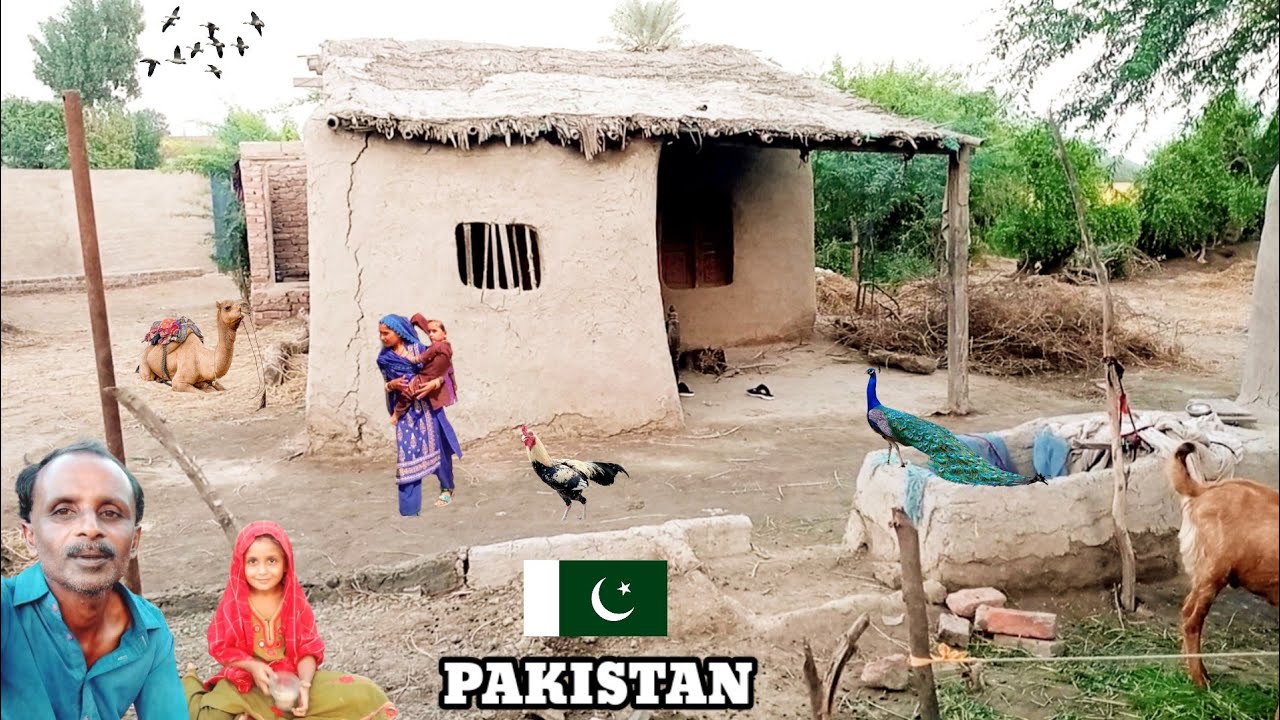 Hamare Daily Ki Routine Ka New Vlog Gareeb Abbas Bhai Ka Vlog - YouTube