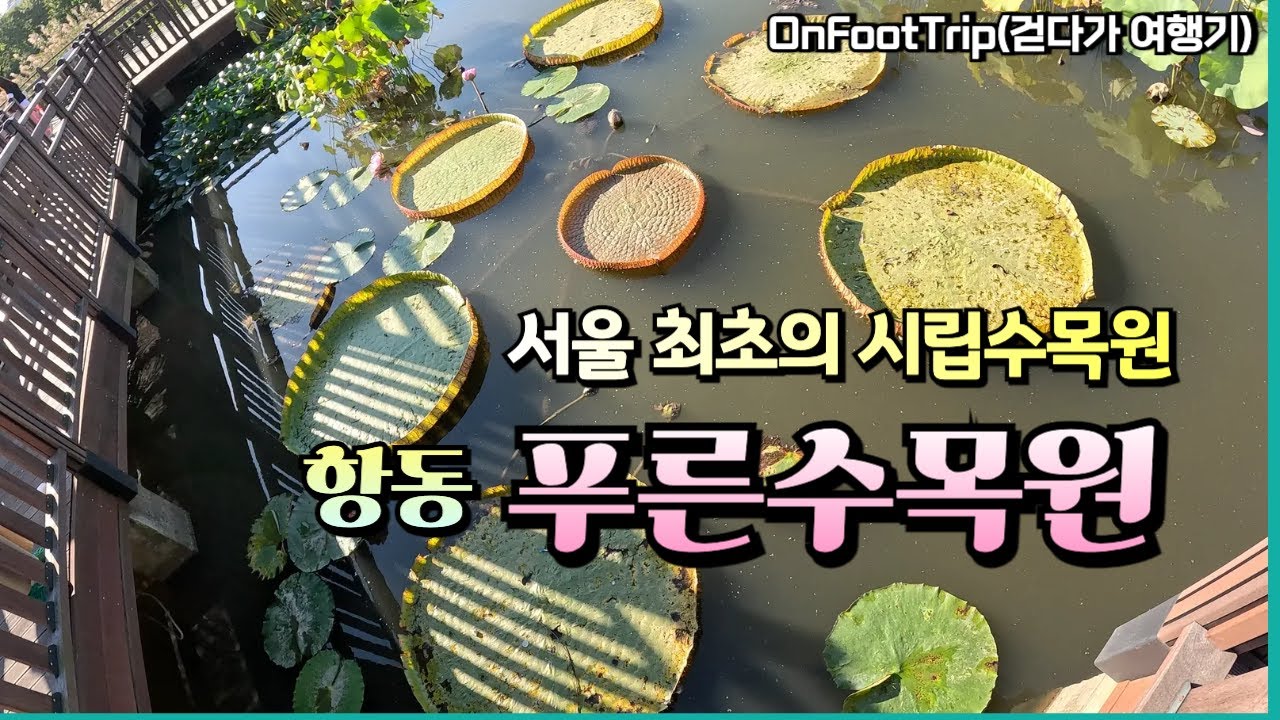 서울 최초의 시립수목원& 서울 1호 공립수목원, 구로구 항동 푸른수목원(Preun Parks in Gurogu of Seoul ...