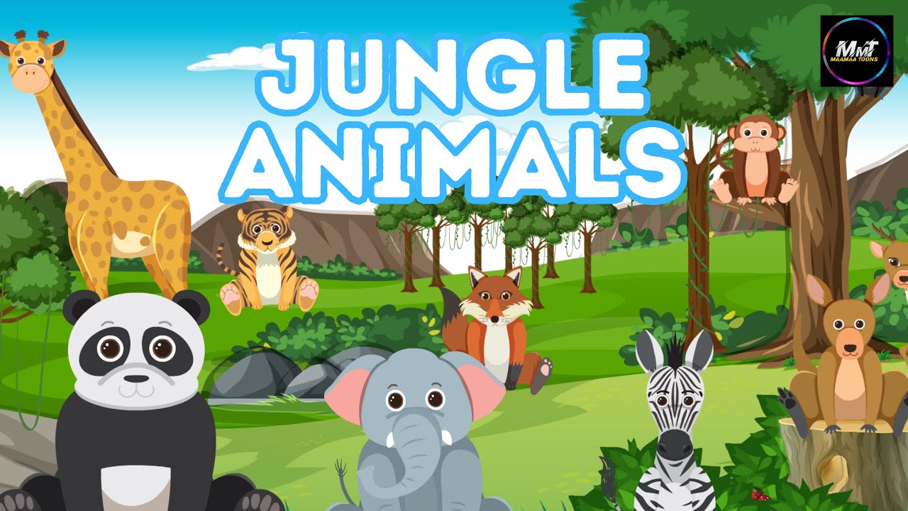 Jungle animals names | Jungle Safari - YouTube