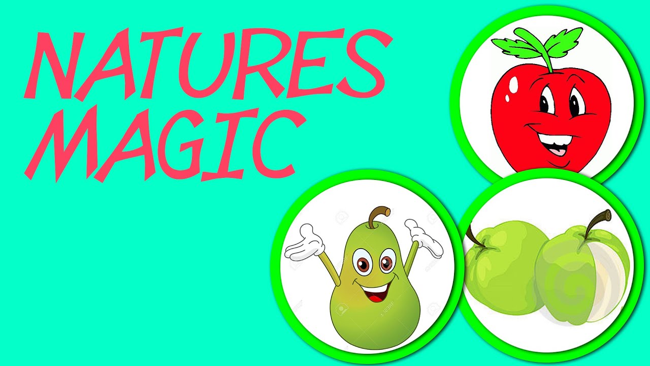 Fun N Learn Series | Facts For Kids | | Natures magic (In English ...
