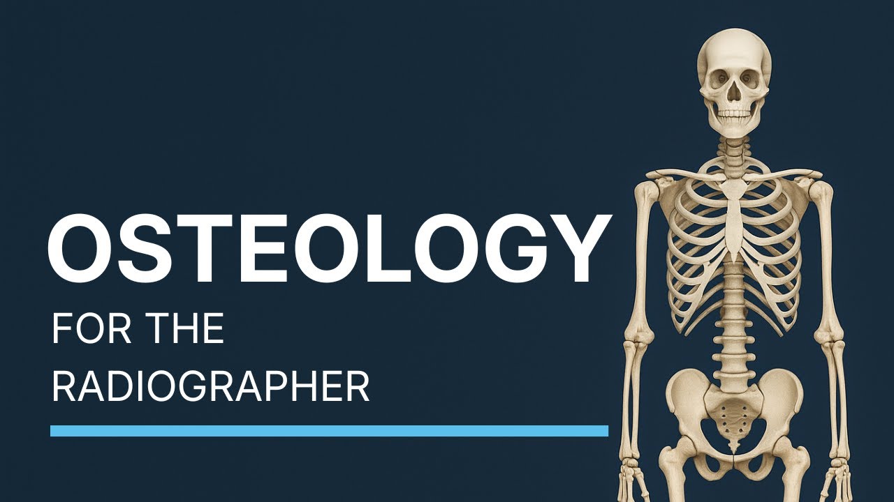 Osteology for the Radiographer | Bones Explained for X-Ray Imaging ...