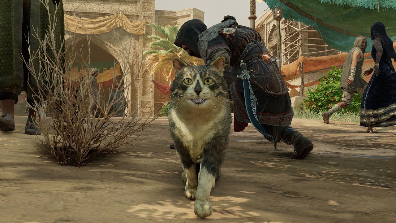 ASSASSINS CREED MIRAGE CAT EASTER EGG AND THE LOCATION I FOUND IT IN ...
