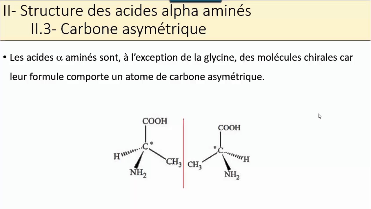 03 acide amines generalites - YouTube