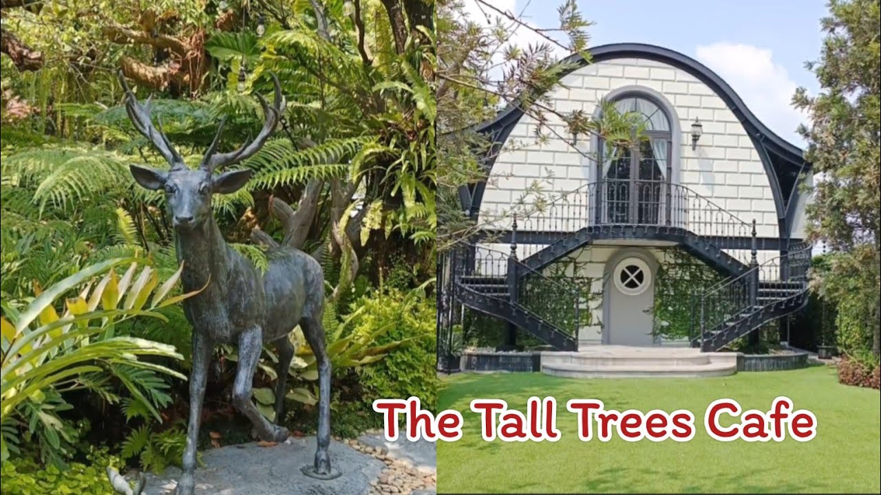 Ep.4เที่ยวชมต่อกับคาเฟ่สวนสวยสุดอลังการในเมืองกรุง เดอะทอลทรี(The Tall ...