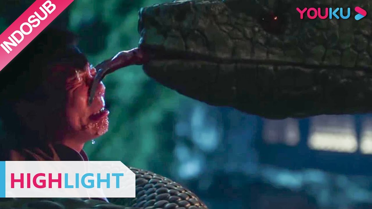 Highlight (Mutant Python) Seorang dimakan oleh ular piton! | YOUKU ...