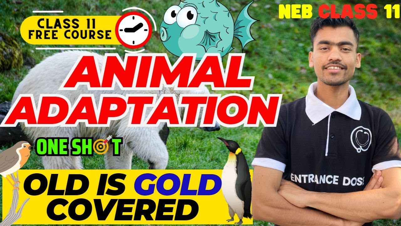 Class 11 Zoology Animal Behavior and Animal Adaptation In One Shot 🔥 ...