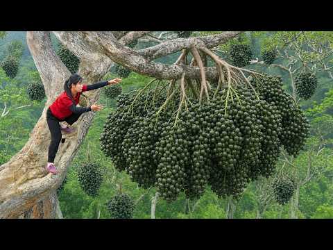 Harvest 100+ Kg Palmyra Palm Fruit Climb Tall Tree in Forest Goes to Market Sell | Susan Daily Life