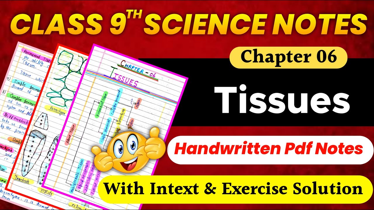 Chapter 6 Tissues || Class 9 Science Handwritten Pdf Notes || CBSE ...