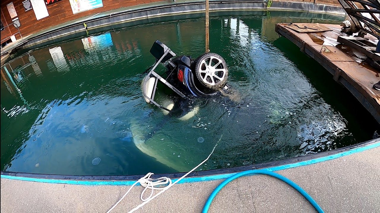 golf cart recovery with Need-A-Diver - YouTube
