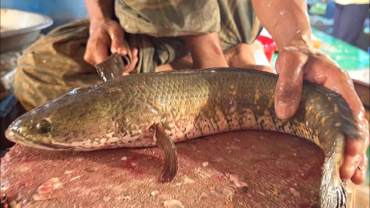 Amazing Sola Fish Cutting Skills | Fish Cutting Skills - YouTube