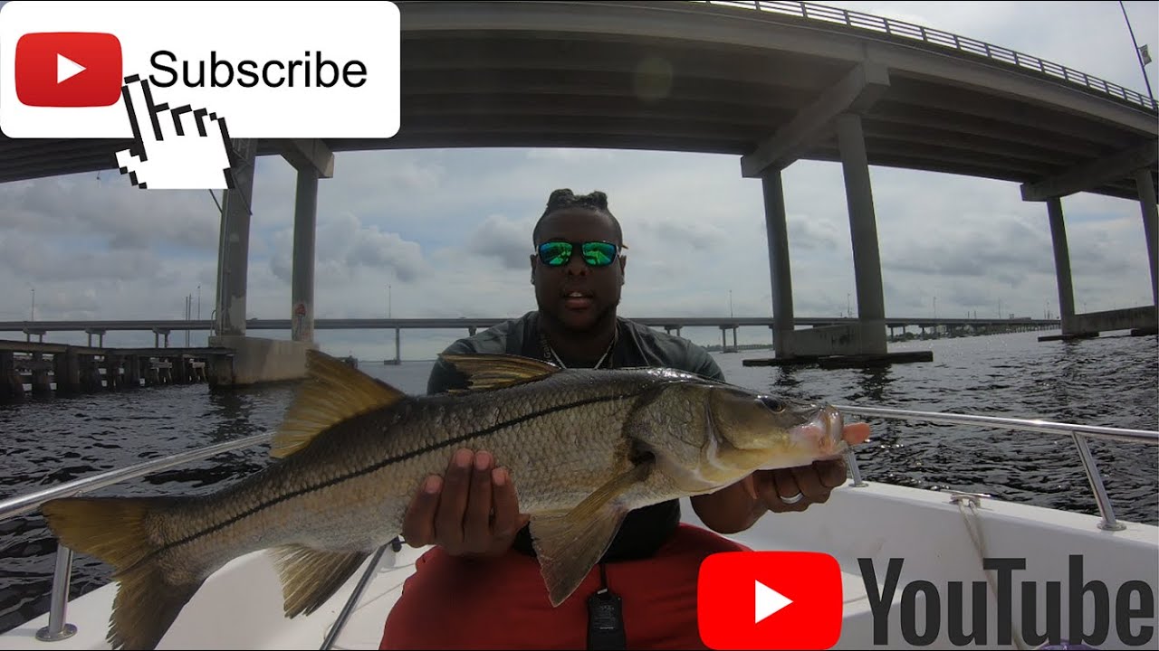Snook fishing - YouTube