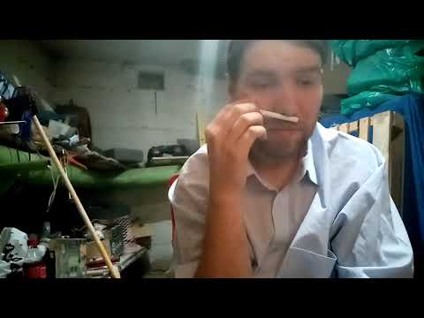 TEST #147 - CAMEL (AUTHENTIC)