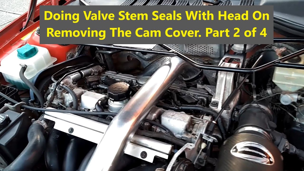 Engine Valve Stem Seals