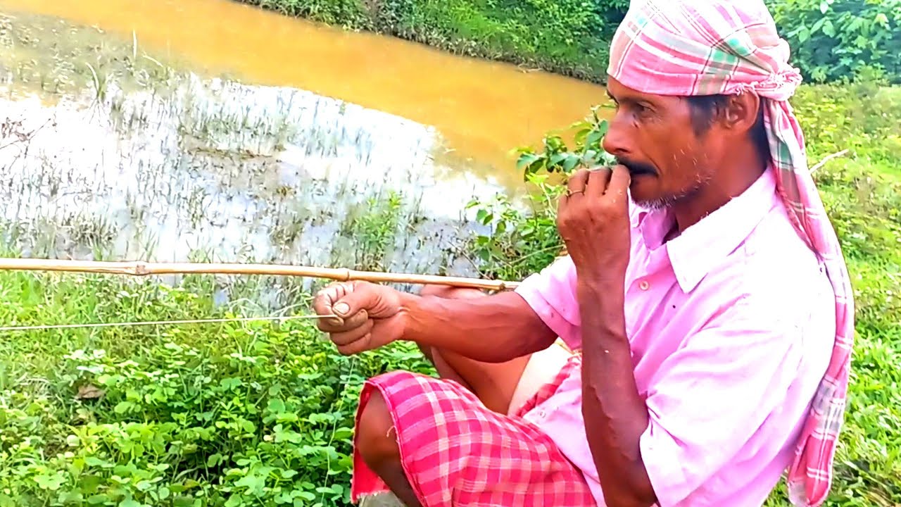 My First Vlog Fish Stream |Happy Nirmal Vlogs | - YouTube