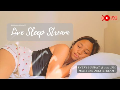 Sound of Sleep | Live Sleep Stream - YouTube