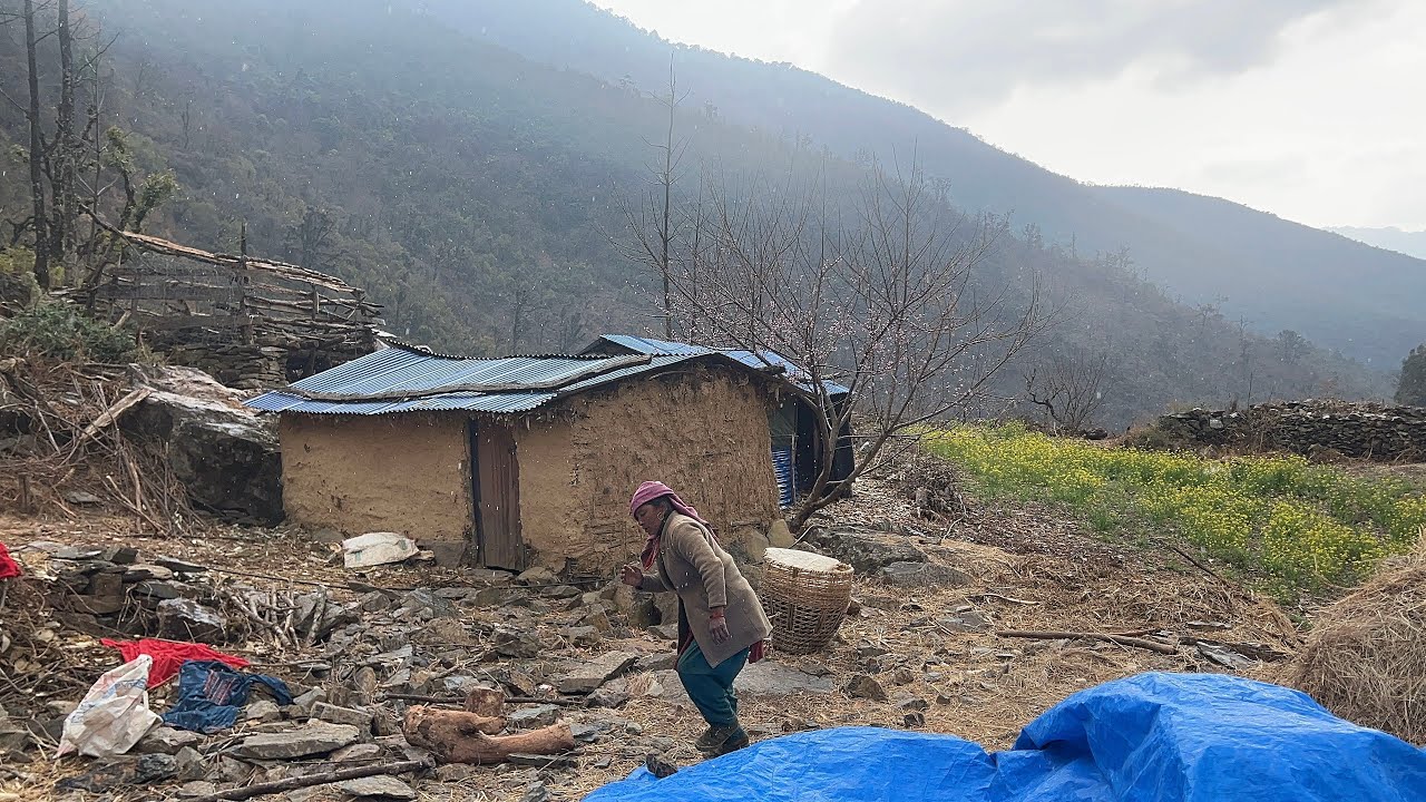 Western Himalayan Village Life In Nepal || Daily Activities Of ...