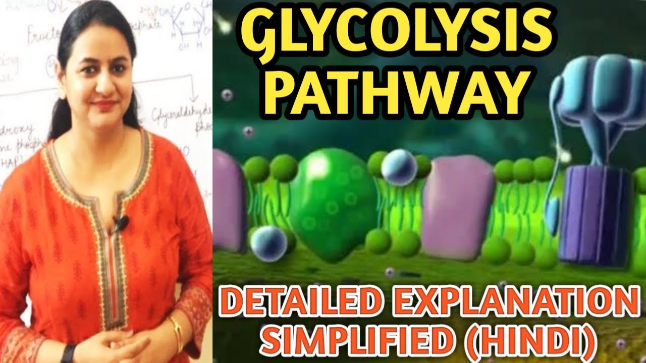 Glycolysis Pathway: Easy and Detailed Explanation with structure - YouTube