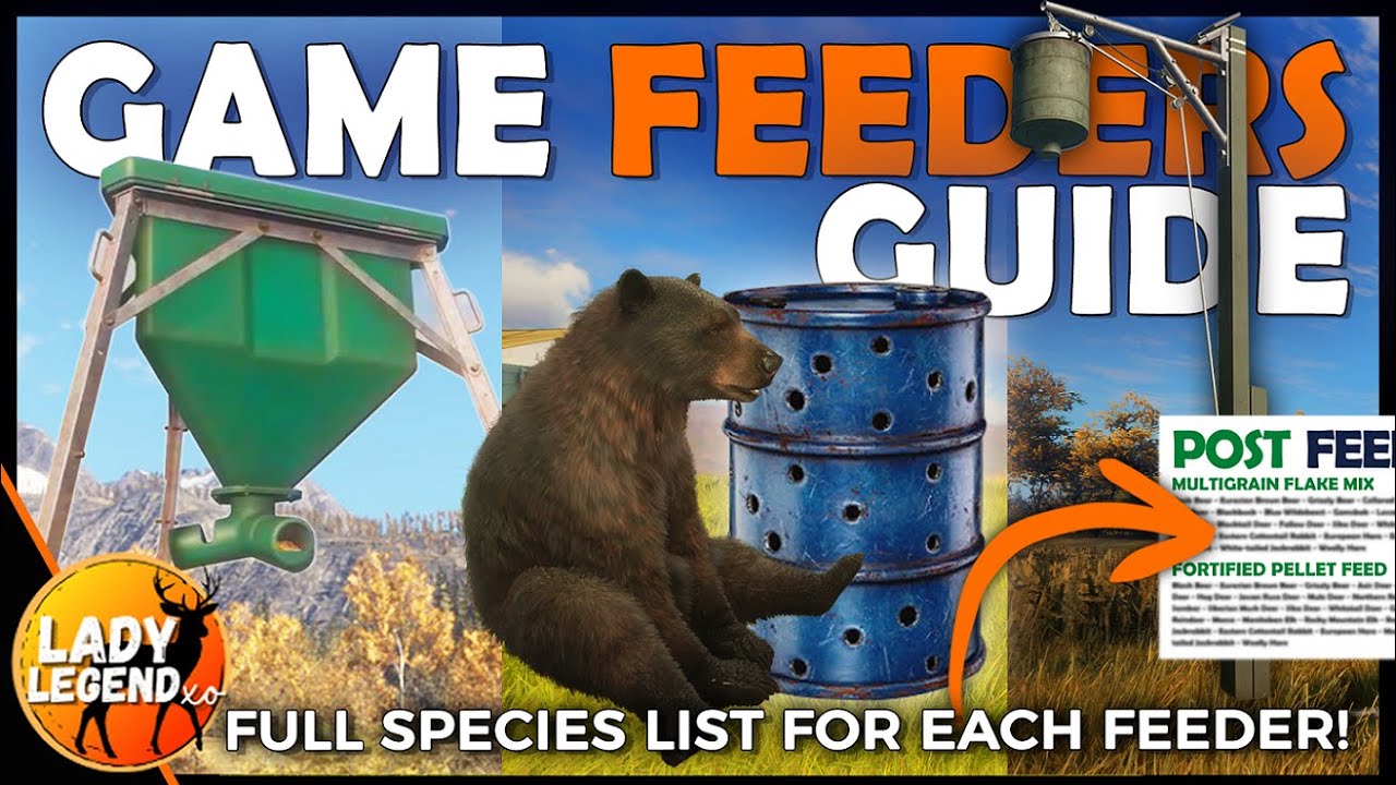 Ultimate FEEDERS GUIDE with FULL SPECIES LIST for Each Feeder!!! - YouTube