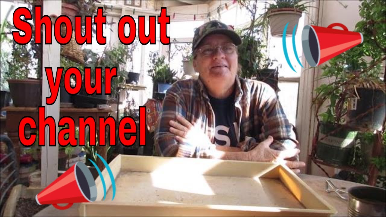 The Weekend Shout Outs - YouTube