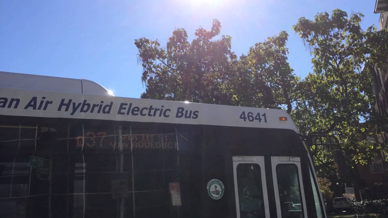 MTA Bus : Orion VII Next Generation HEV #4641 on the Q37 at Kew Gardens ...