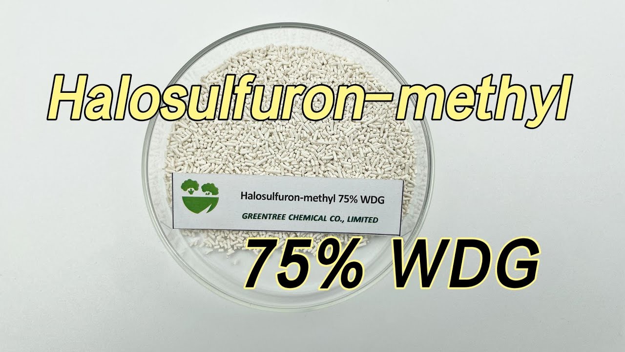 Halosulfuron methyl 75%wdg CAS 100784-20-1 Herbicides - YouTube