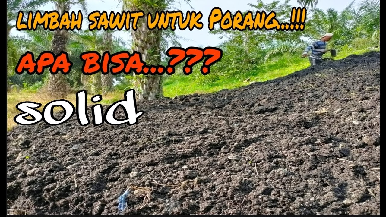 PUPUK KOMPOS DARI LIMBAH SAWIT || SOLID - YouTube