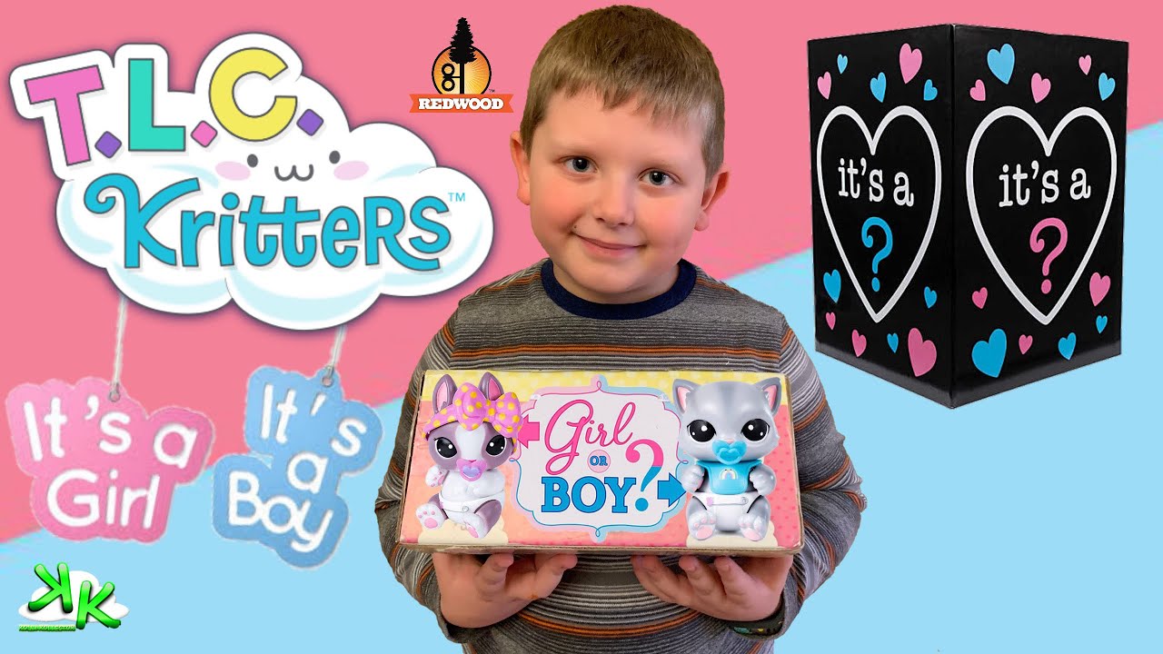 The Kollector Family’s Gender Reveal Party - Boy or Girl TLC Kritters ...