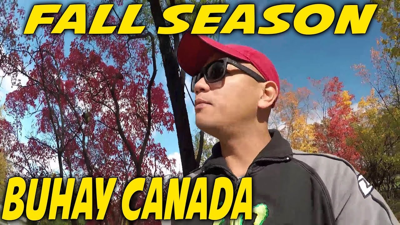 Fall Season in Winnipeg, Canada - YouTube