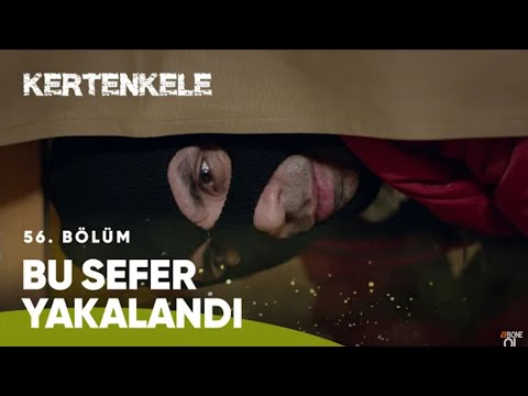 ŞEVKET YENİDEN HIRSIZ OLDU🤣.....KERTENKELE 56.BÖLÜM 🦎