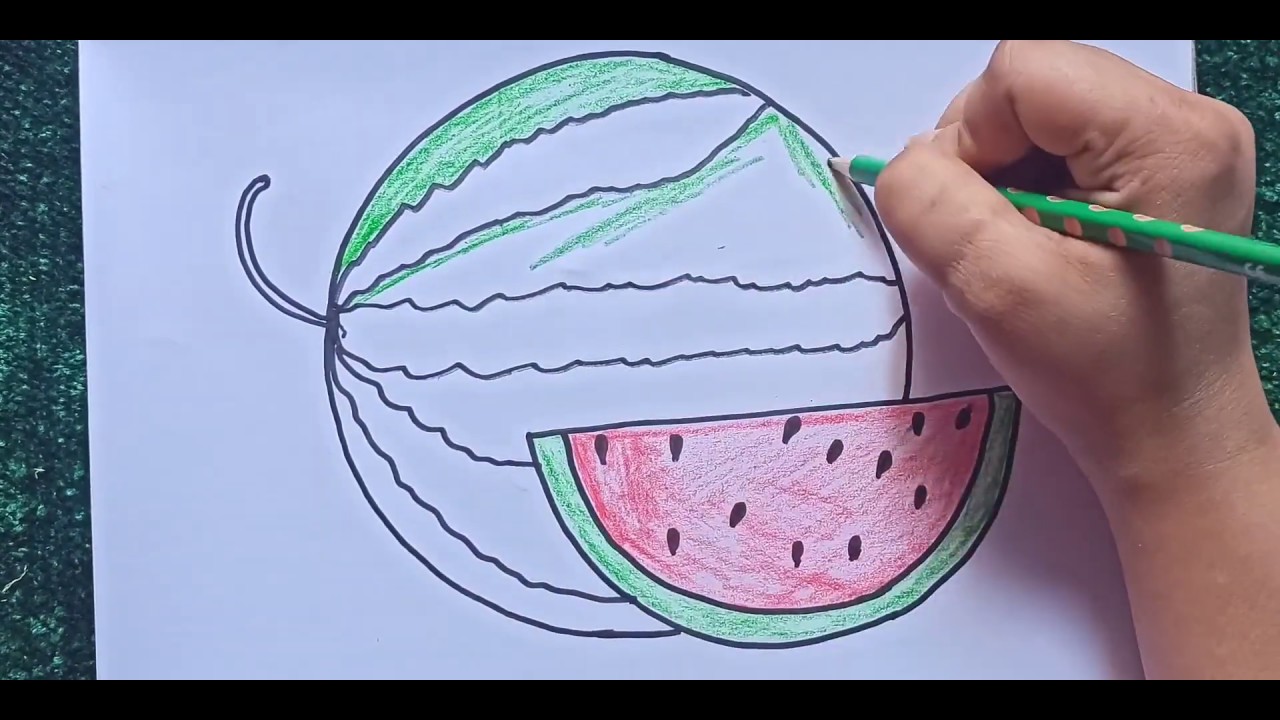 how to draw watermelon and color with pencil color easy to draw step by ...