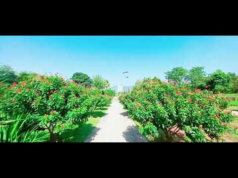 Islamabad right now #beautiful #nature #shorts #explore #100k #facts #viralvideo #gakhar