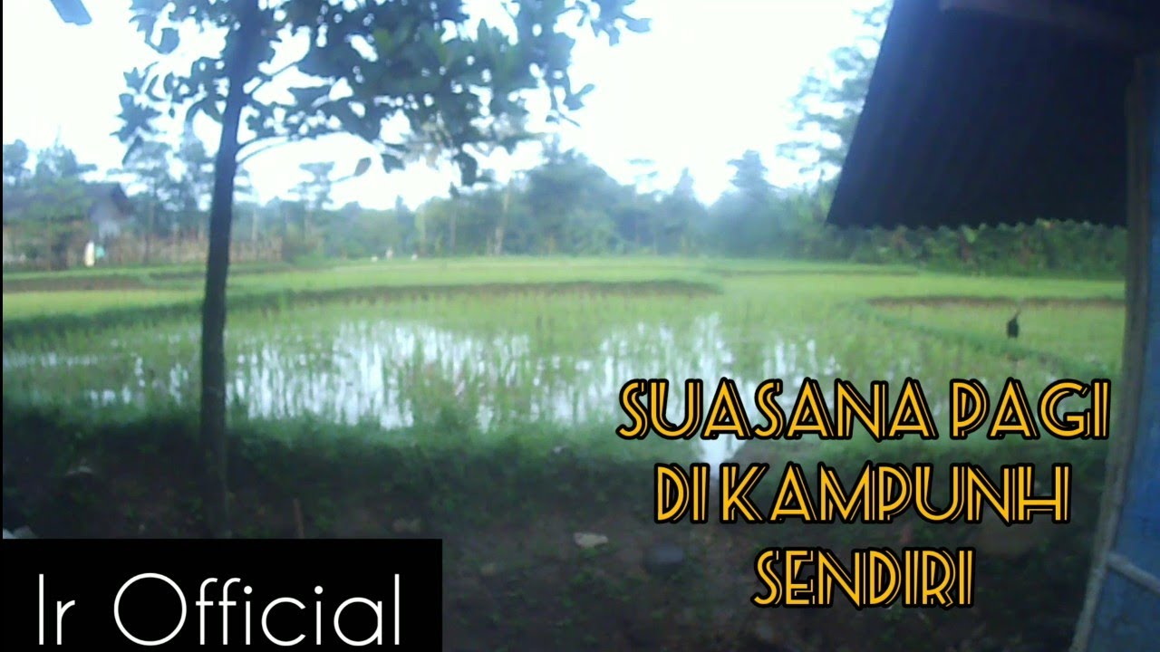 Suasana Pagi Di Kampung Halaman // Kalong Dagul - YouTube