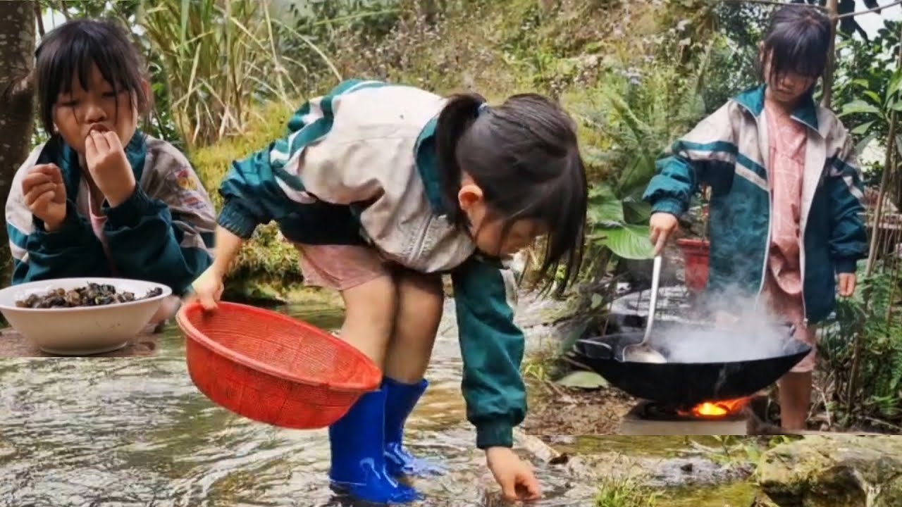 Mountain cuisine | Pick up snails to make sweet and sour snail dish ...