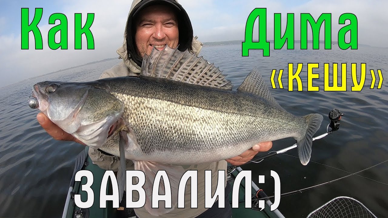 Всё о ловле СУДАКА. Как поймать и где искать судака. Ловля судака с ...