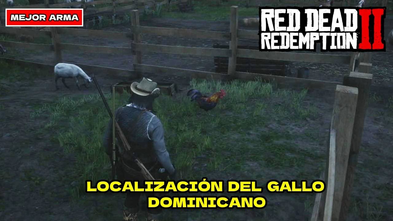 Localización Del Gallo Dominicano Y Mejor Arma | Red Dead Redemption 2 ...